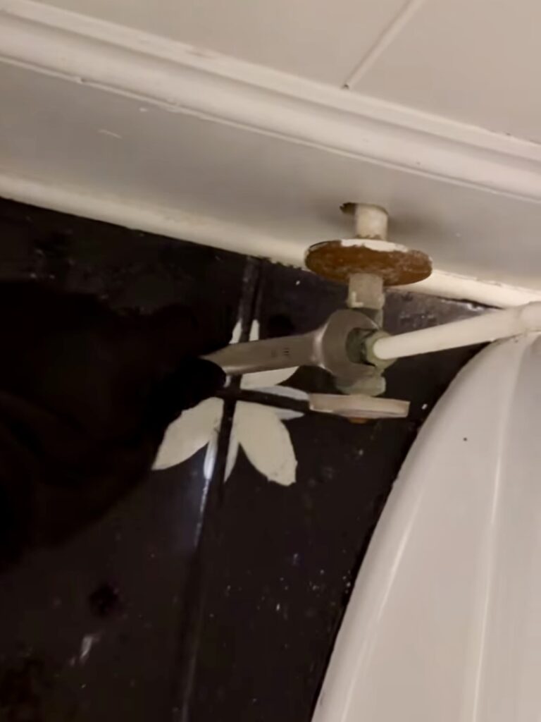 DIY Toilet Installation: 5 Easy Steps You Can Do Yourself