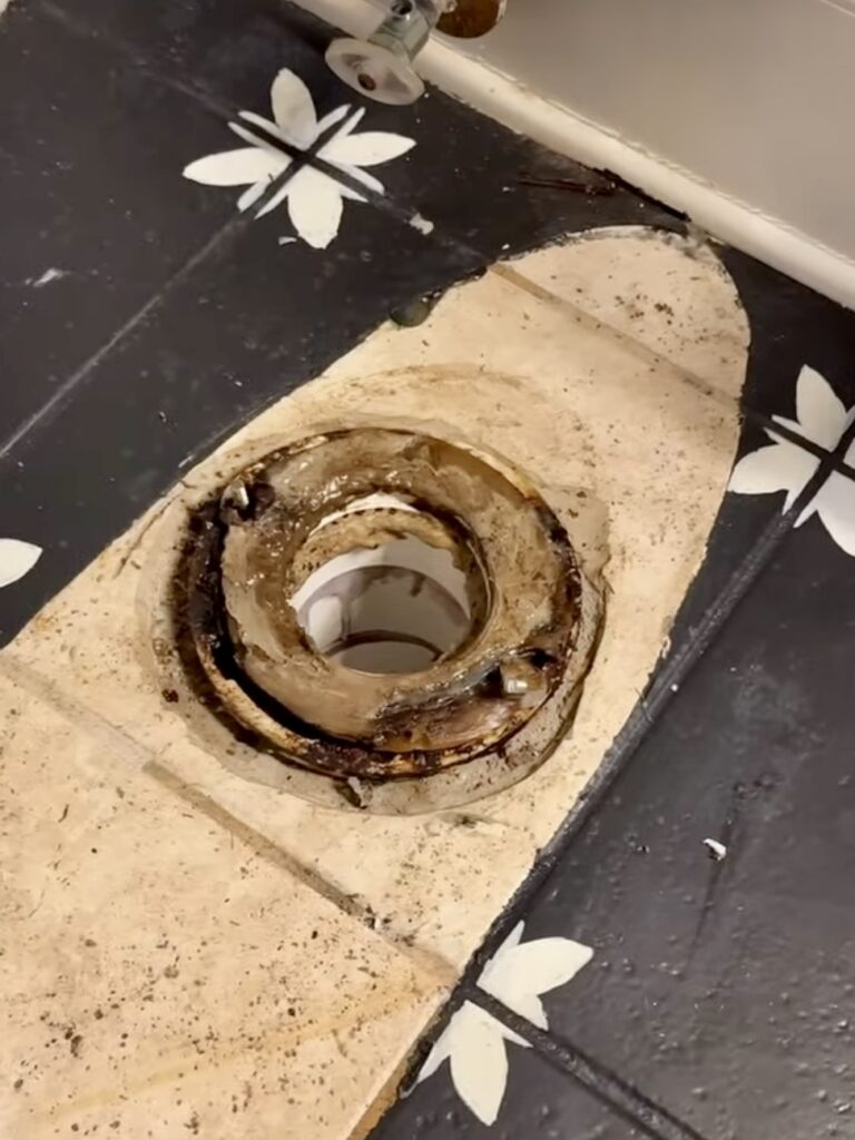 DIY Toilet Installation: 5 Easy Steps You Can Do Yourself